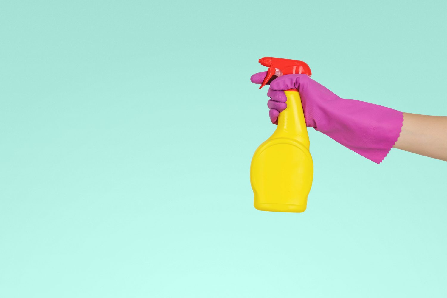 Add Pest Prevention To Your Spring Cleaning List Mug A Bug Add Pest Prevention To Your Spring Cleaning List Mug A Bug